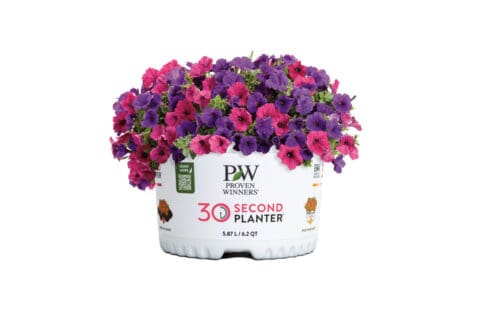 Bundle Combinations - Four Star | Grower & Supplier of Proven Winners